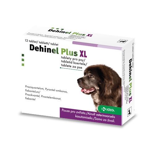 DEHINEL PLUS XL TABL 175MG+525MG+504MG N12